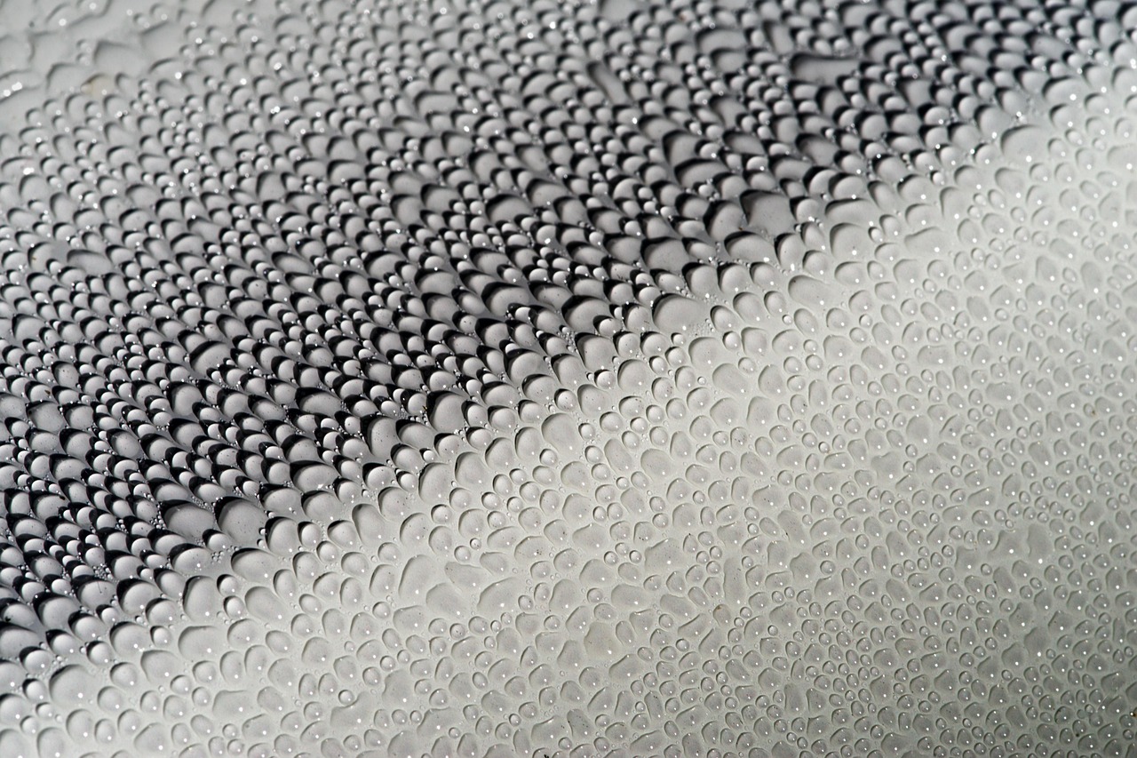 Water-based Adhesive Coating: Pros, Cons, And How To Use It